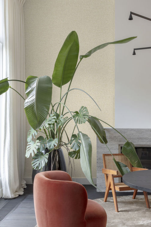 Cherry coded: playful, glossy and full of character